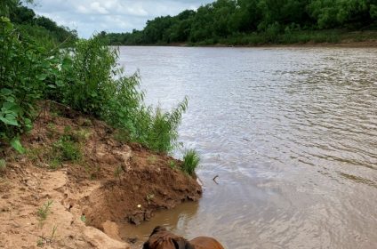 Brazos River Park in Sugar Land, TX 77479 ️ Best places to visit